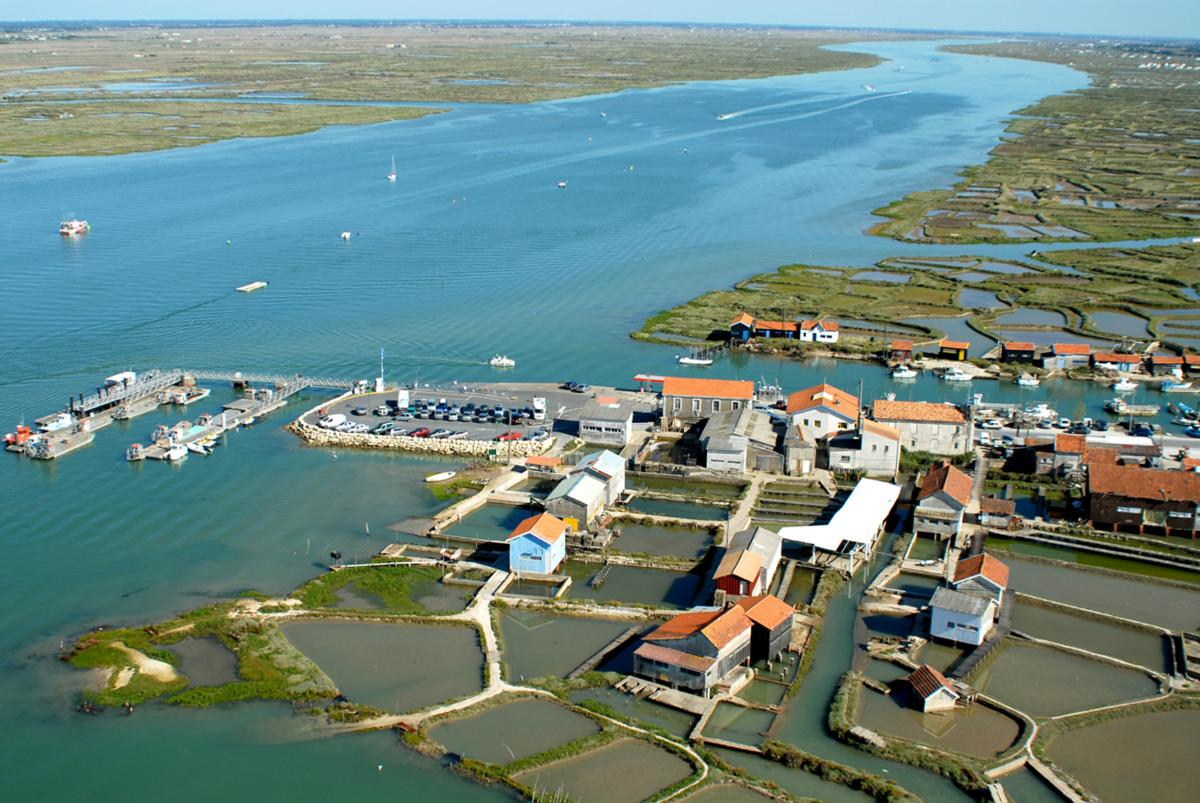 La tremblade - Catram consultants